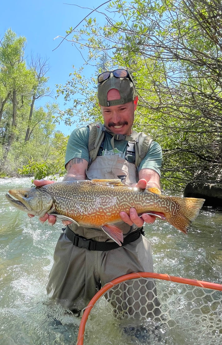 Guided Fly Fishing Trips Half Day or Full Day Tours – The Canyon Fly Shop
